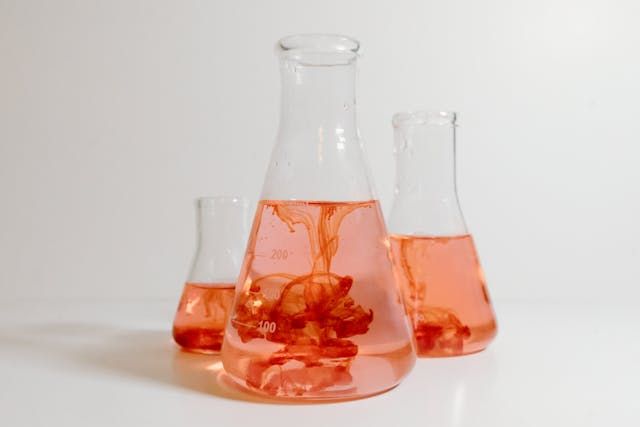 Opposing Views - Transition Words | Groovelit Resources | Groovelit ...